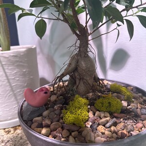 Polymer Clay Creepy Cute Weird Figurines/ Baby Nuggets - Etsy