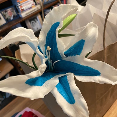 Silent Princess Flower Breath of the Wild, BOTW, Legend of Zelda ...