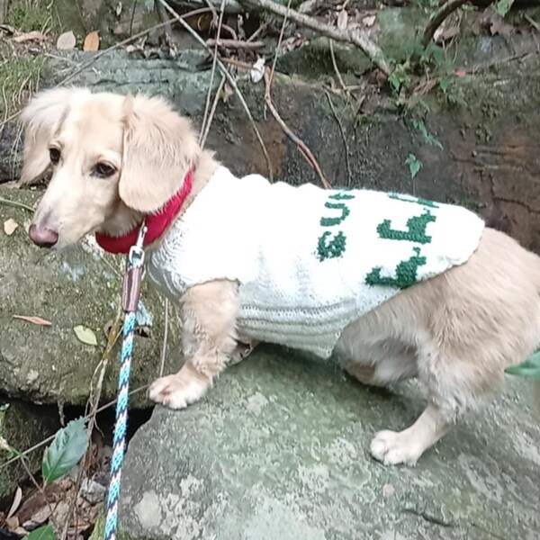 Personalized Dog Sweater With Initials, Dog Clothes With Letter of Name ...