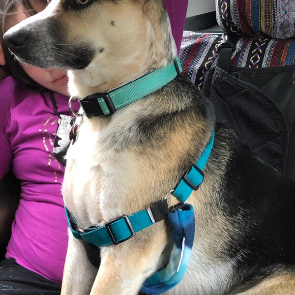 Dog Harness Padding Cover Harness Huggies Soft Fleece Fabric Dog ...