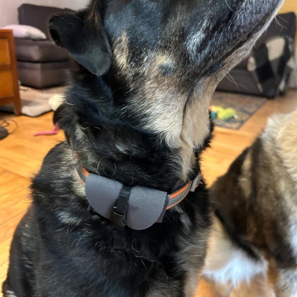 Dog Tag Collar Pouch / Brown Leather Pet Tag Silencer - Etsy