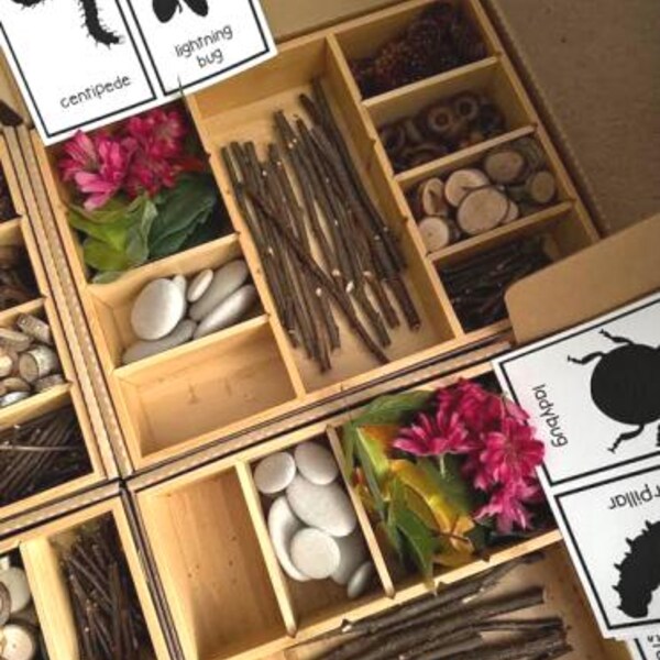 TINY Dried Crepe Myrtle Seed Pods, Natural Dried Mini Flowers, Small ...