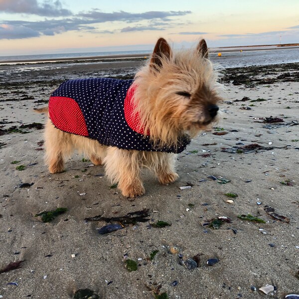 A Genuine Victorian Map of Cheshire, Highlighting the Cheshire Hunt's ...