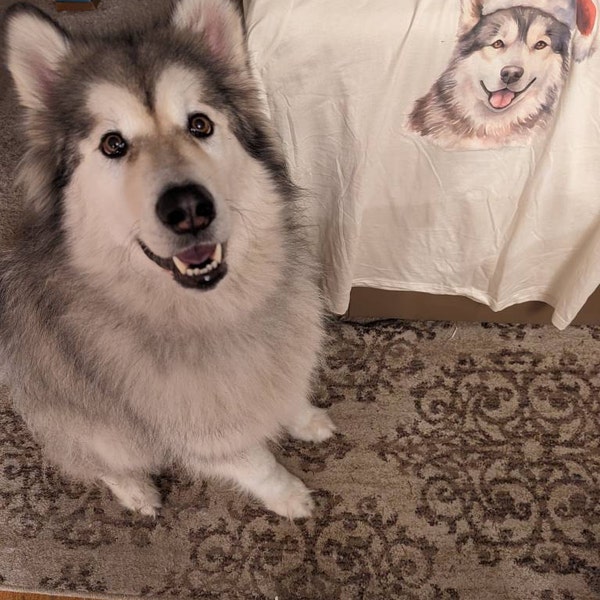 Swift and Kelce Shirt, Travis Kelce and Swift Halloween Costume, in My ...