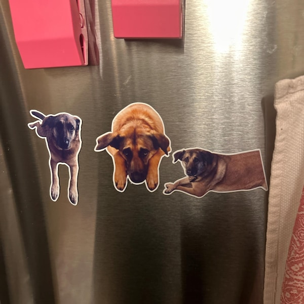 Custom Pet Magnets | Cute Animal Magnets | Decorative Magnets | Dog Cat ...