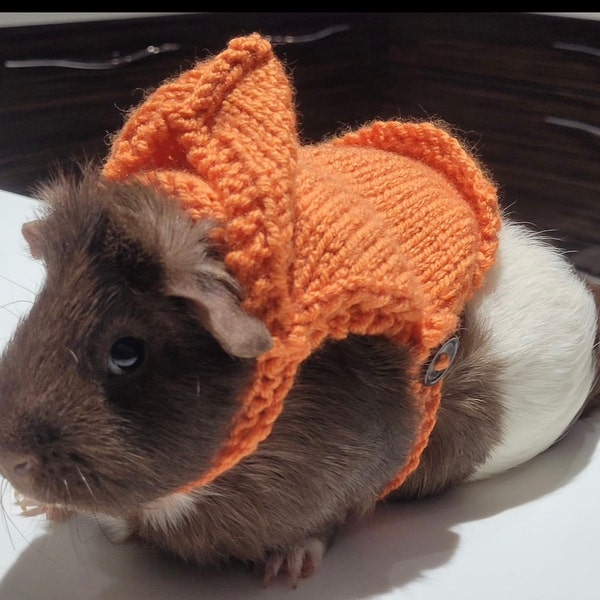 DIGITAL DOWNLOAD PDF Guinea Pig Crochet Pattern Decorative Diaper Style ...