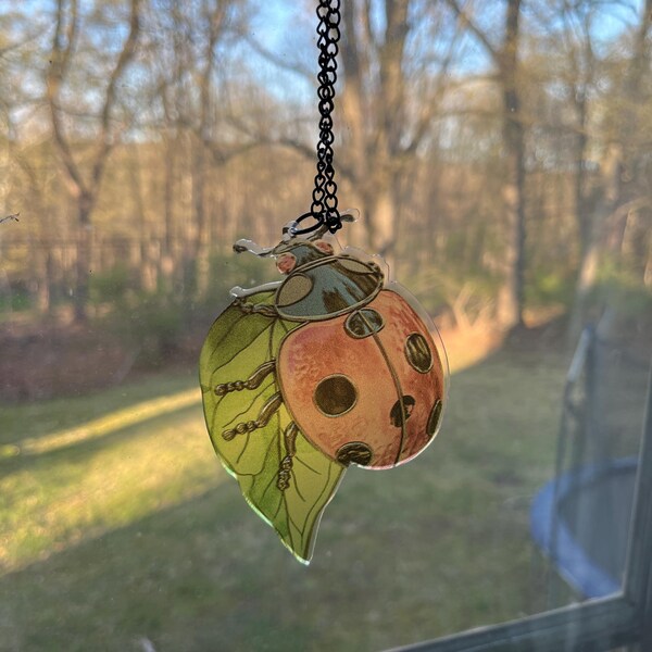 June Bug Arcrylic Suncatcher Hanging, Garden Home Wall Window Decor ...