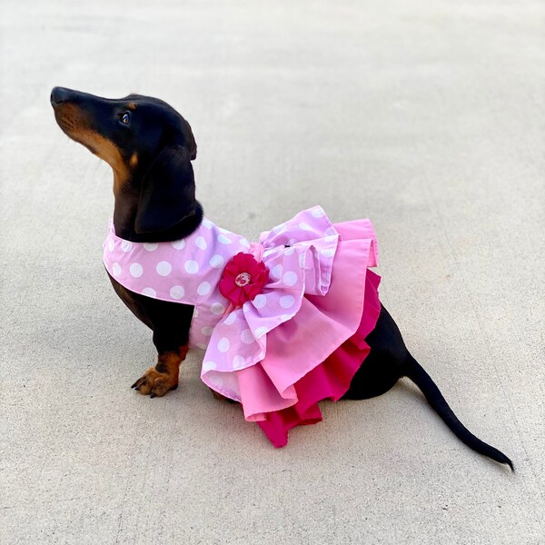 Isabella Dog Dress SMALL & MEDIUM Sewing Pattern PDF, Dog Clothes ...