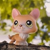 Littlest Pet Shop LPS Lot of 10 Pc Accessories in Gift Bag Random ...