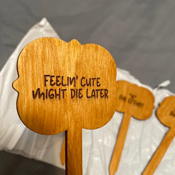 Funny Plant Markers, Funny Plant Pun Stakes, Plant Sticks, Plant Mom ...