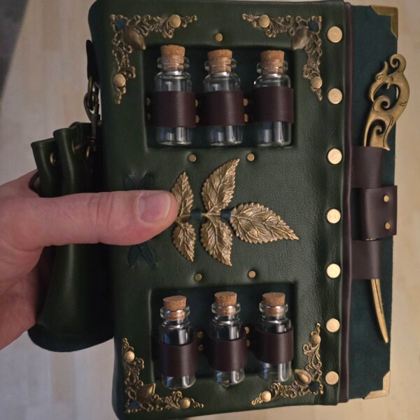 Book Holster, Alchemy Kit, Grimoire, Golden Beetle Fantasy Journal ...
