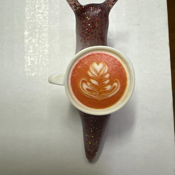 Mini Coffee Snails - Etsy