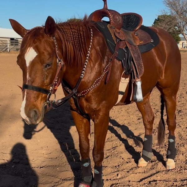 Custom Slot Ear Headstall With Buckstitching - Etsy
