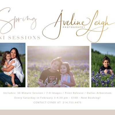 Spring Mini Session Marketing Template, Spring Minis PSD Template, for ...