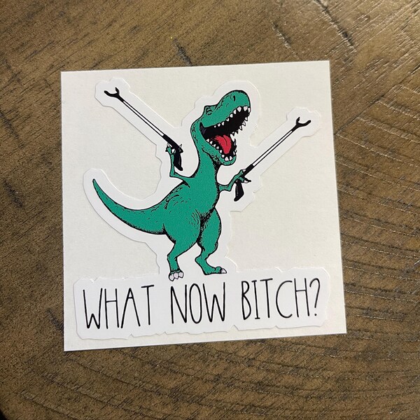 Funny Dinosaur What Now Bitch - Arm Extenders, Sarcastic Sticker ...
