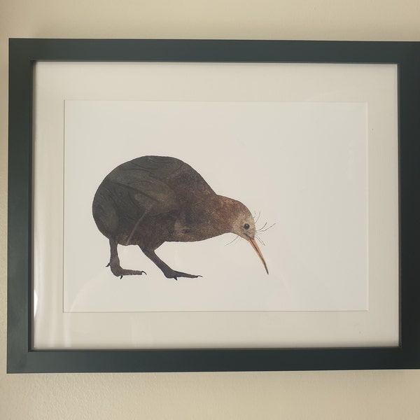 Kiwi (new Zealand Art, New Zealand Birds) - Etsy