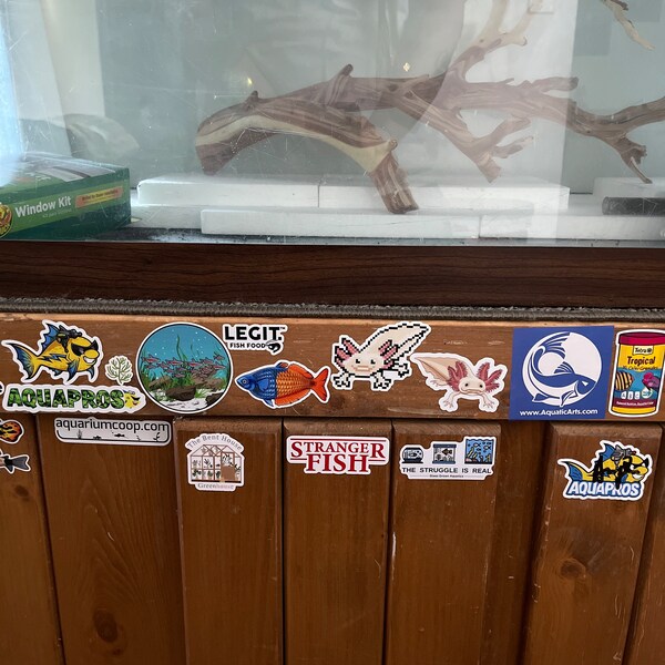 Paper Fish Tank DIY PAPER CRAFT Kids Art Tropical Fish Pet Aquarium ...