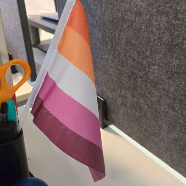 Big 3x5 Feet Polyamorous New Flag / Polyamory Flag / LGBTQ Flag ...