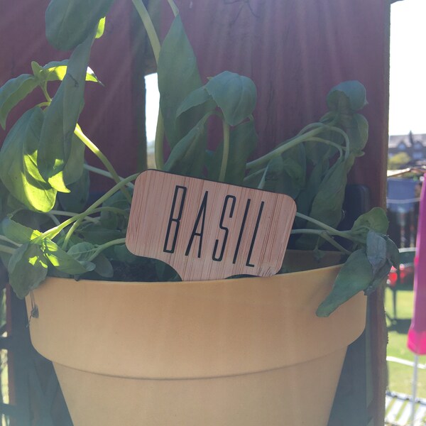 Herb Planter Labels | Herb Garden Labels | Custom Herb Garden | Stakes ...