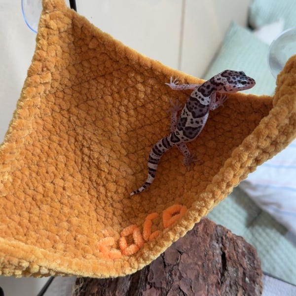 Leopard Gecko Hide, Mango Crochet Pet Cave Reptile, Soft House for ...