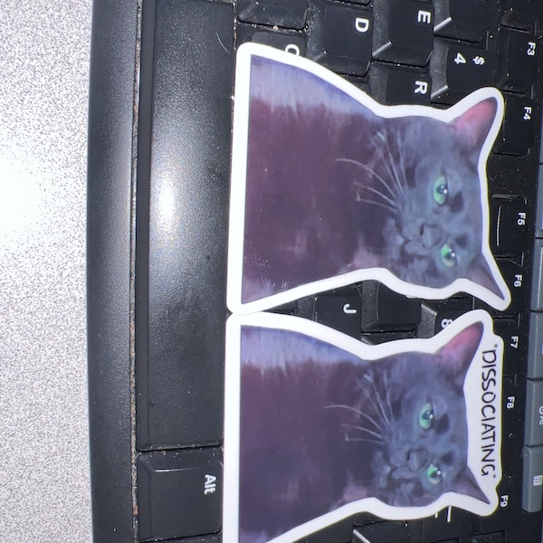 Dissociating Sticker, Zoning Out Black Cat Meme, Dissociative Sticker ...