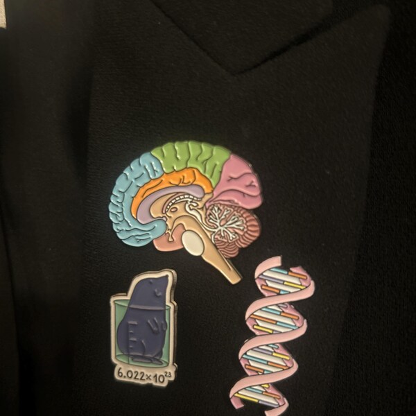 Animal Cell Diagram Poster - A4 - Labelled, Cell Biology, GCSE, A-level ...