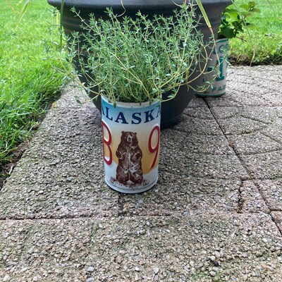 License Plate Plantersround License Plate Planterrustic Decorcustom ...