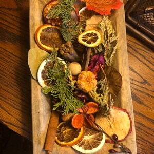 Cherokee, North Georgia Candy Roaster Squash . Cucurbita Maxima - Etsy