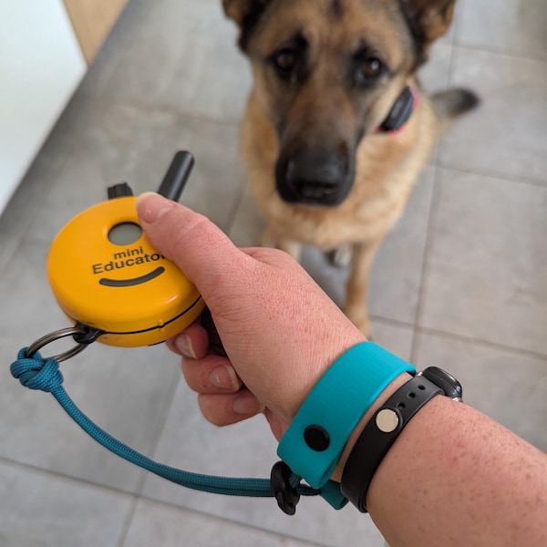 Biothane Remote Wrist Strap | Ecollar Remote Wrist Strap | Ecollar Strap | Clicker Wrist Strap ...