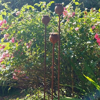 Set of 3 Rusty Poppy Seed Head Pattern Naturally Rusting Ornamental ...