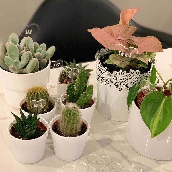 Set of 3 Plant Tags, Custom Plant Tags, Plant Labels, Acrylic Plant ...