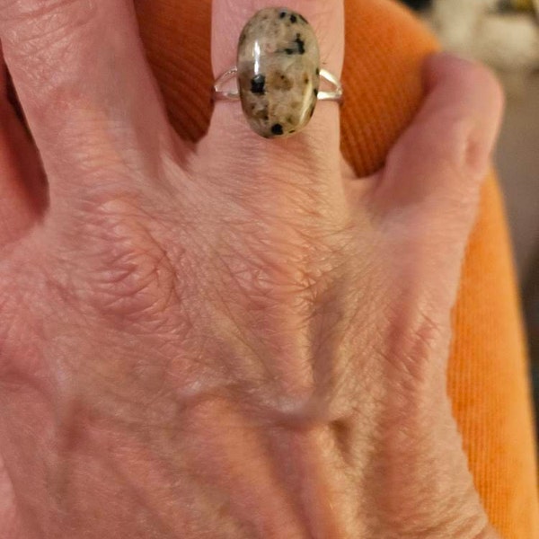 Rare 9.2oz Extinct Chain Coral Fossil halysites From Lake Michigan 425 ...