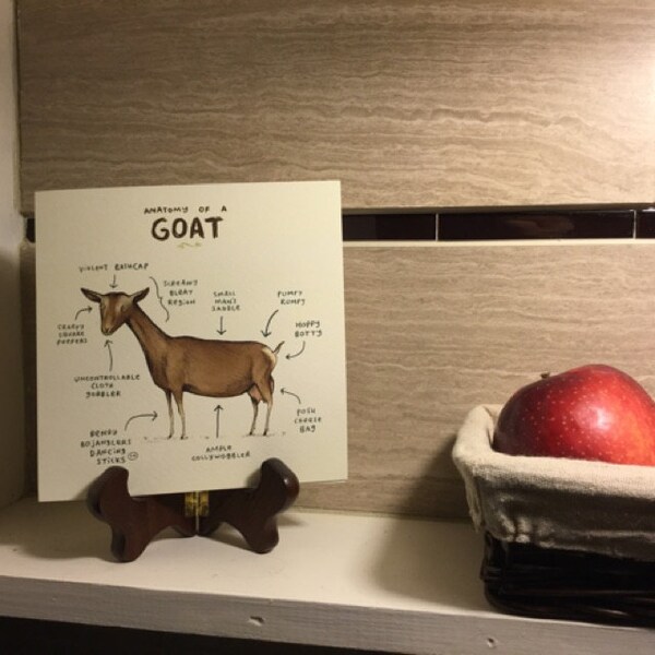 Anatomy of A Goat Card - Etsy
