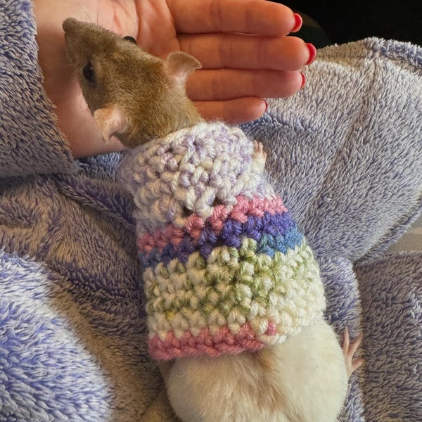 Rat Dress for Rat Crochet Dress for Pet Rat Sweater for Fancy Rat ...