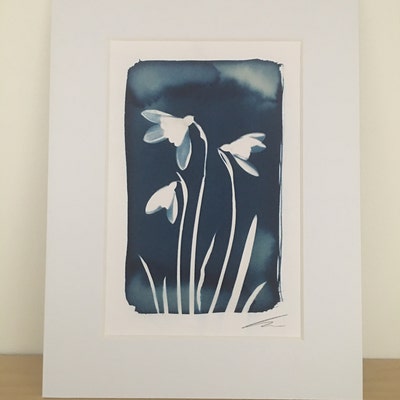 A3 Unmounted, Unframed Original Botanical Art Cyanotype Print - Etsy