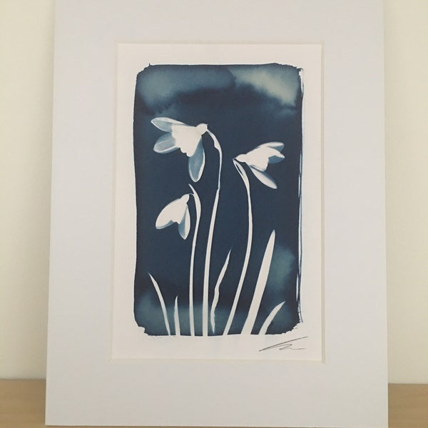 Pack of Eight Blank Greetings Cards With Reproductions of My Cyanotype ...