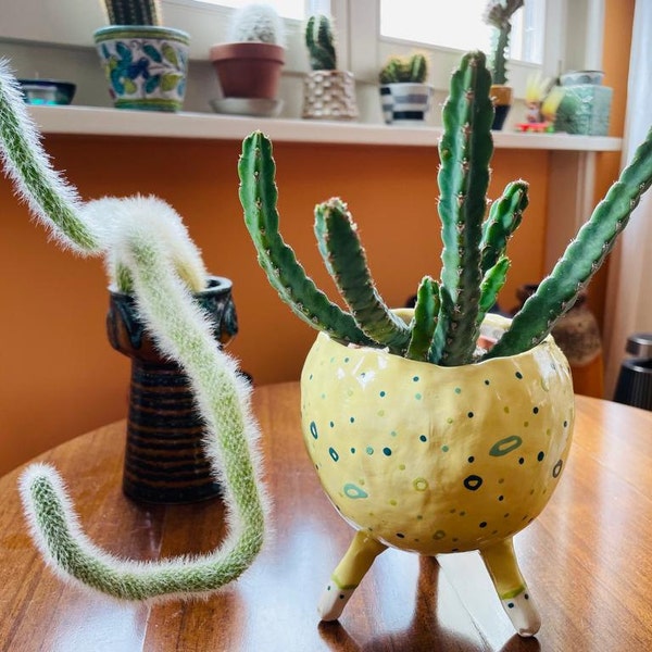 Special Edition! the Spotty Dotty Collection - Ceramic Planter ...