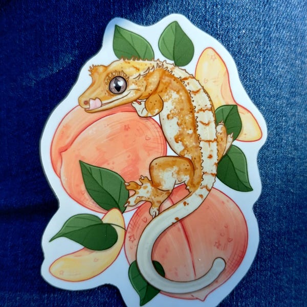 Crested Gecko With Peaches Sticker | Reptiles | Vinyl Glossy ...