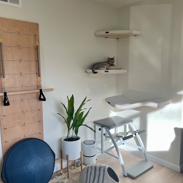 Corner Cat Shelf: Beech Plywood Wall Bed With Washable Cushion - Etsy