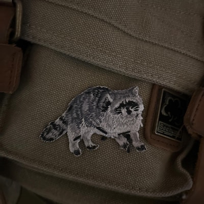 Thunder Color Choice Mascot Team Name Words Iron on Applique ...