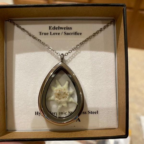 Real Pressed Edelweiss Locket | Romantic Flower of the Alps Silver ...