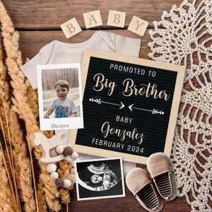 Big Brother Pregnancy Announcement Digital, Second Baby Announcement ...