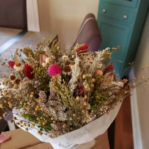 Blue Thistle Burgundy Dried Flowers /Preserved Daisy Flowers | Etsy