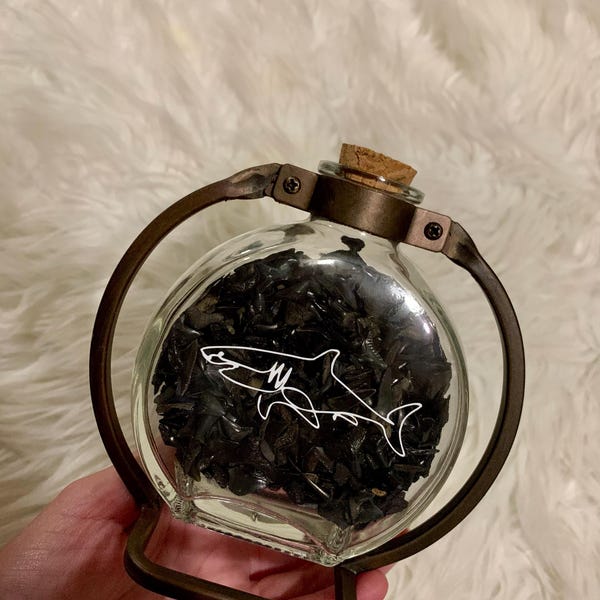 Glass Shark Tooth Shadow Display Box - Etsy