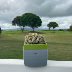 Fred the Dead Planter Kawaii Planter Succulent Planter Cartoon Planter ...