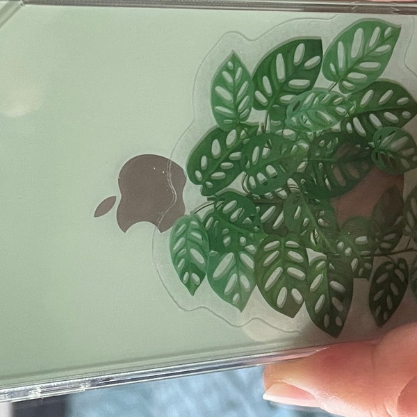 Monstera Adansonii Sticker, Swiss Cheese Plant Sticker, Clear Monstera ...