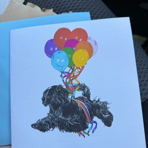 Pointer Brothers German Shorthaired / Wirehaired / English Pointer ...