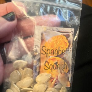 Wolf Bean Lupine Lupini Bean Packet Flower & Vegetable - Etsy