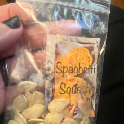 Wolf Bean Lupine Lupini Bean Packet Flower & Vegetable - Etsy