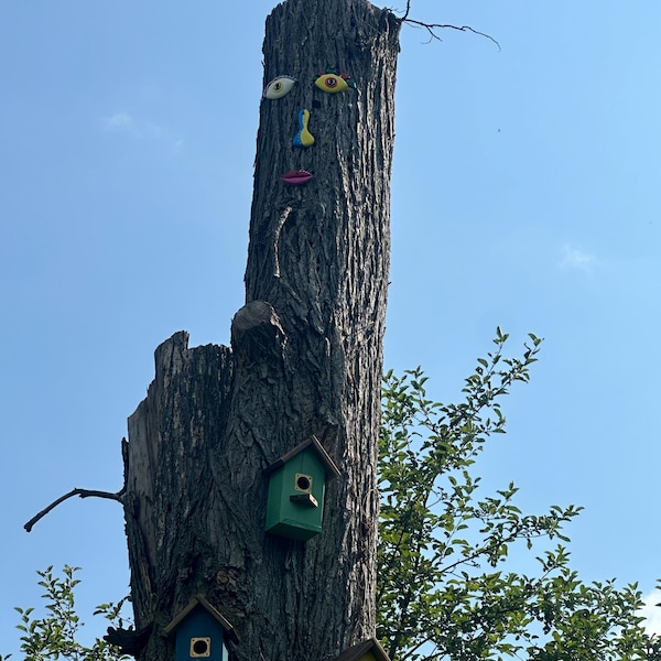 Tree Face Sculpture Eye Catching Style, Handmade by Artist, Decor ...